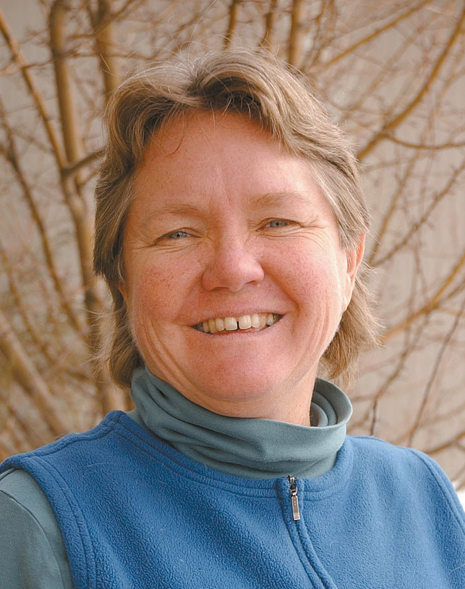 Mary Walker: Volcano eruption’s effects reach Africa | SteamboatToday.com